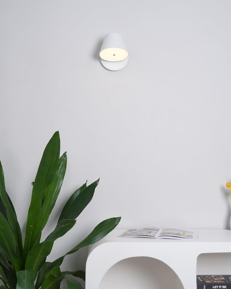 TM A1 Shell Sconce | Wall Lamp – Loliday