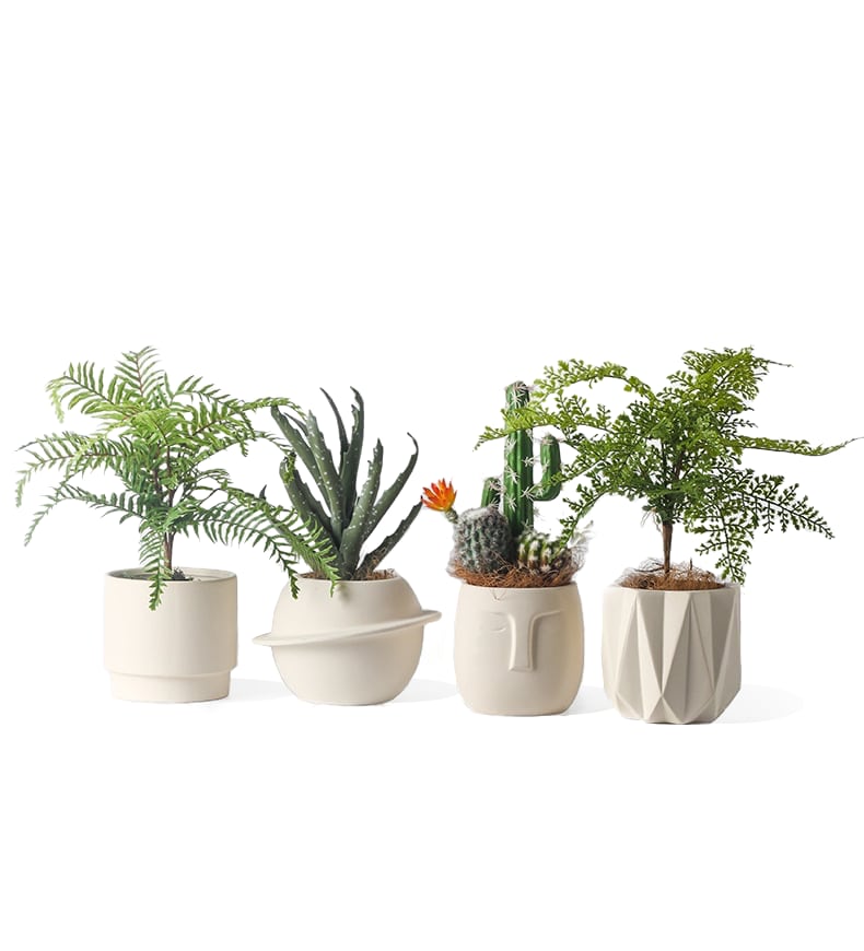 Pandora Set of 4 - Handmade Plant Pots Indoor / Outdoor Ceramics Beige ...